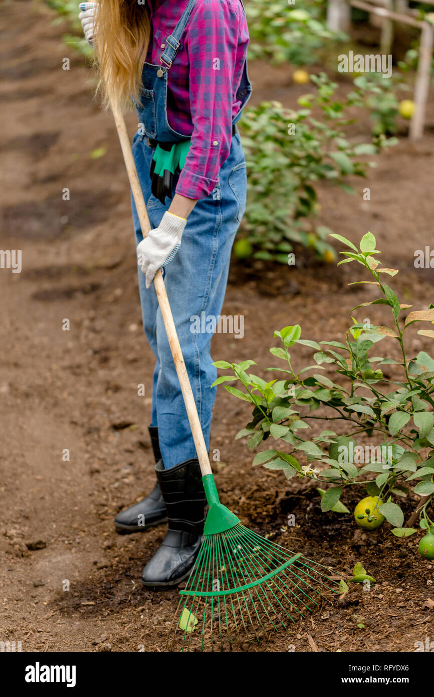 woman is preparing ground for planting Stock Photo - Alamy