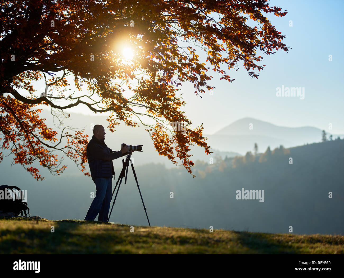 Male tourist photographer standing under large tree with golden leaves ...