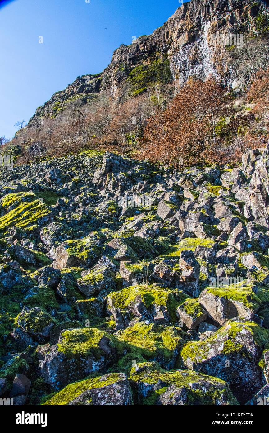 Columbia River Basalt cliff and rock-slide, located near Rowena Loops ...