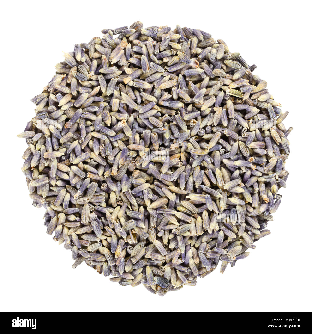 Very pale violet flowers hi-res stock photography and images - Alamy