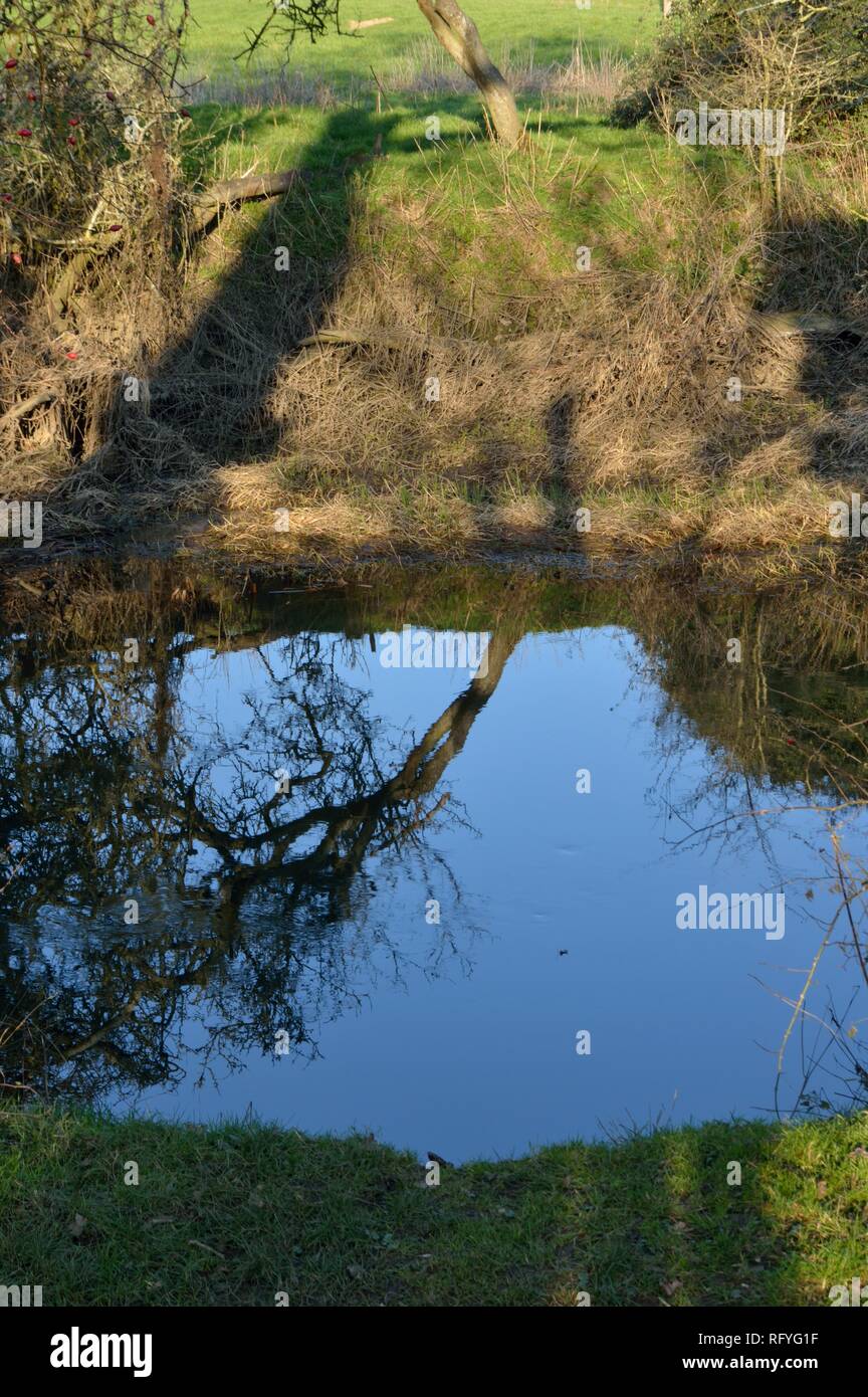river mole, norbury park, surrey Stock Photo - Alamy