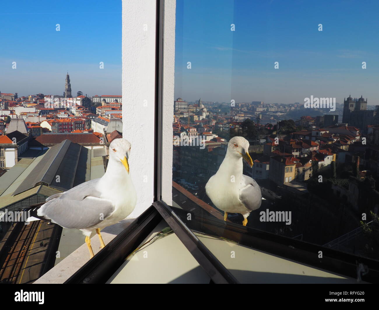 Clericos hi-res stock photography and images - Alamy