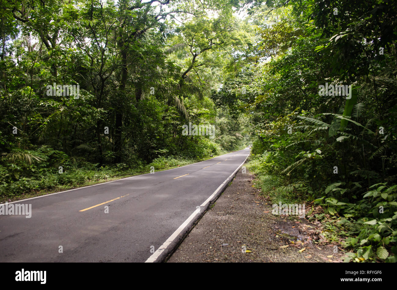 Bosques cuenta del canal de panama hi-res stock photography and images ...