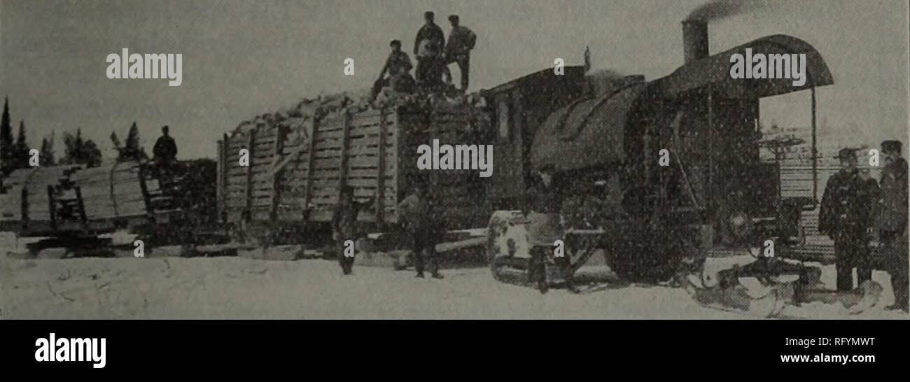 Pulpwood loading hi-res stock photography and images - Alamy