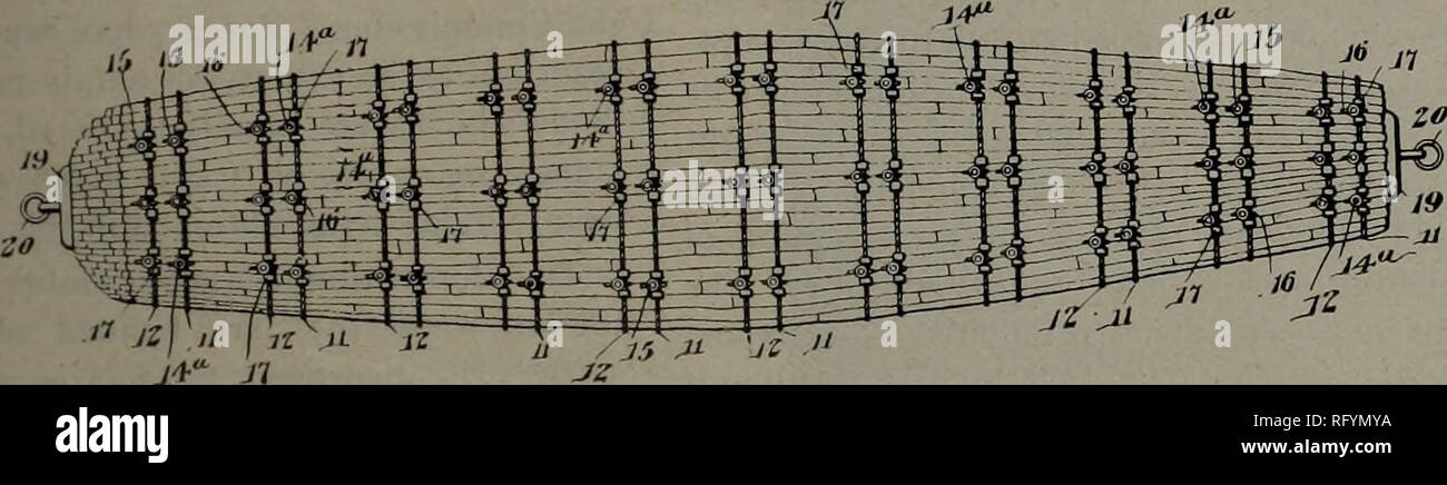 Pulp raft hi-res stock photography and images - Alamy