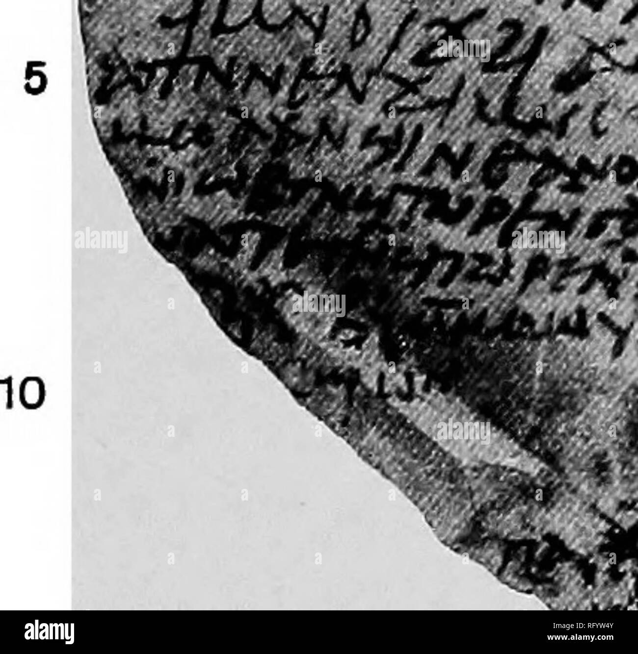 "Light from the ancient East; the New Testament illustrated by recently ...