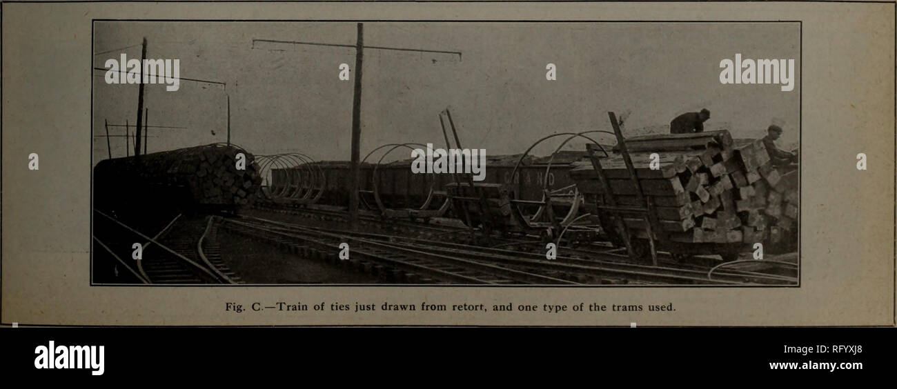 . Canadian forest industries 1916. Lumbering; Forests and forestry ...