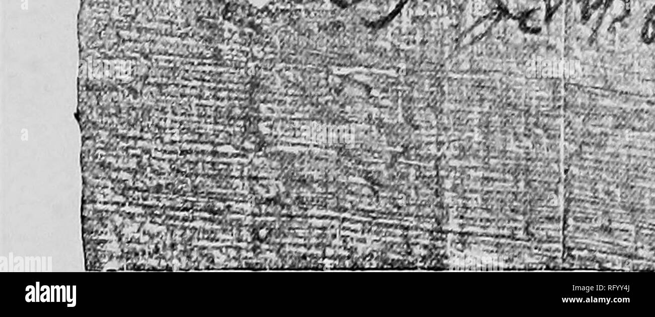 "Light from the ancient East; the New Testament illustrated by recently ...