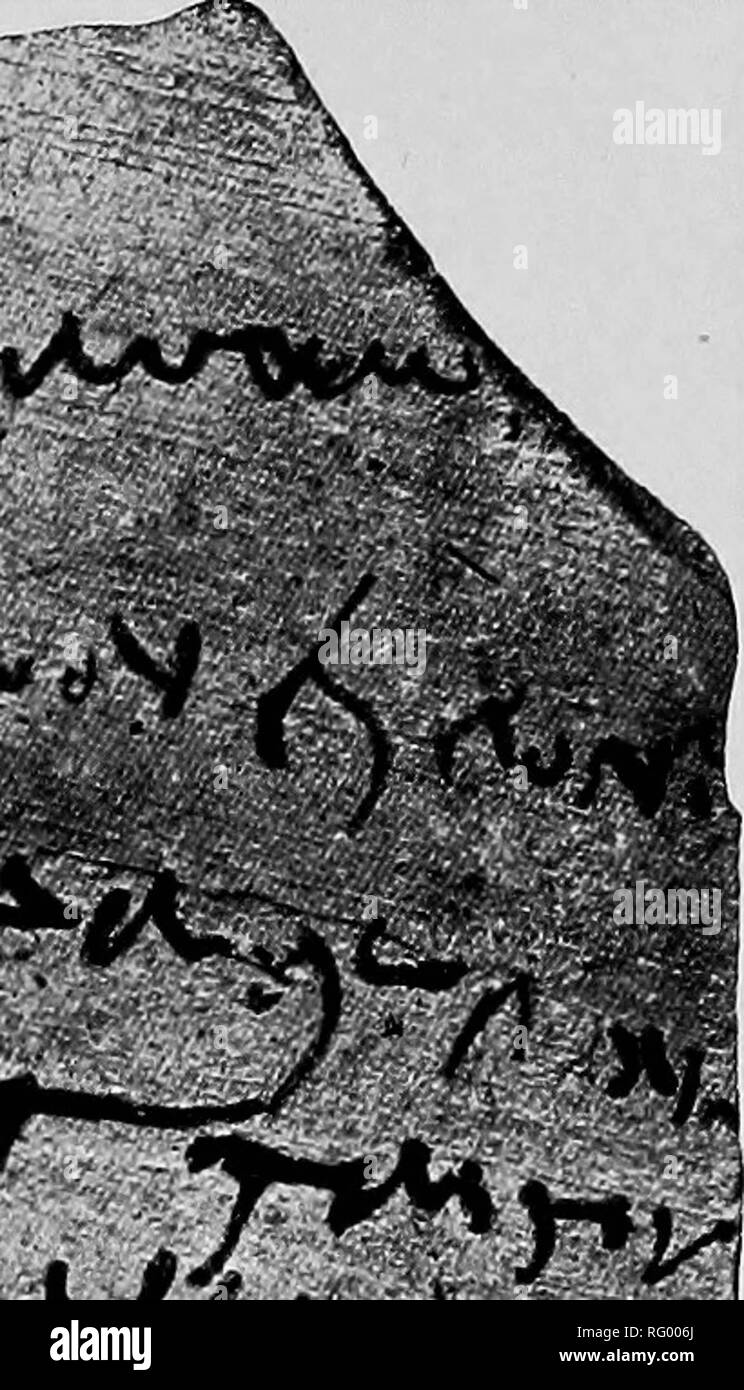 "Light from the ancient East; the New Testament illustrated by recently ...