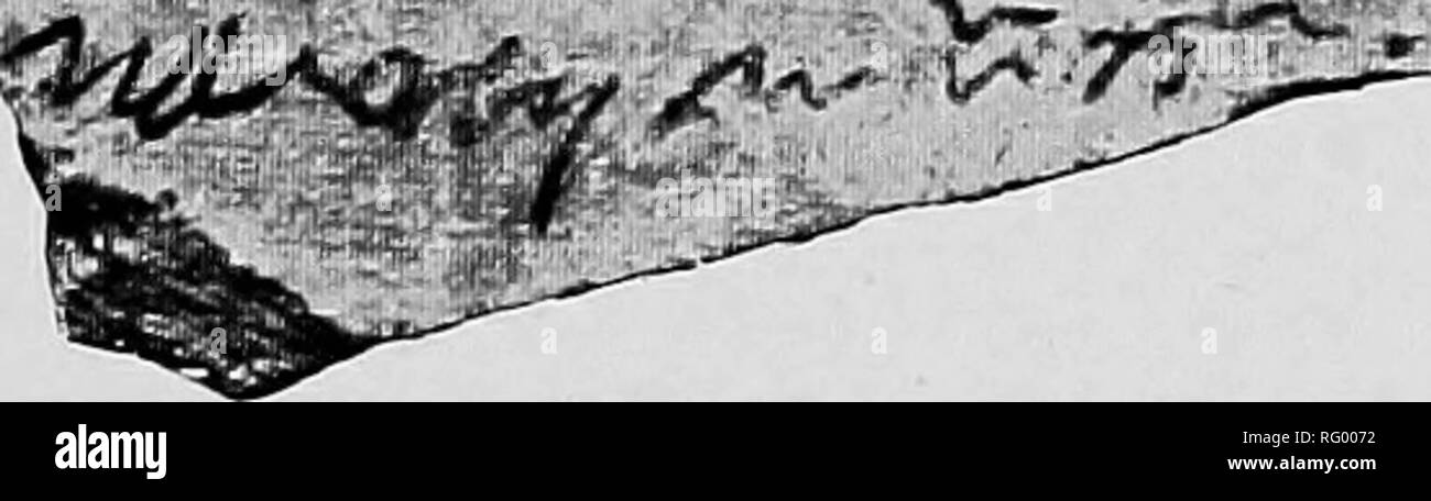 "Light from the ancient East; the New Testament illustrated by recently ...