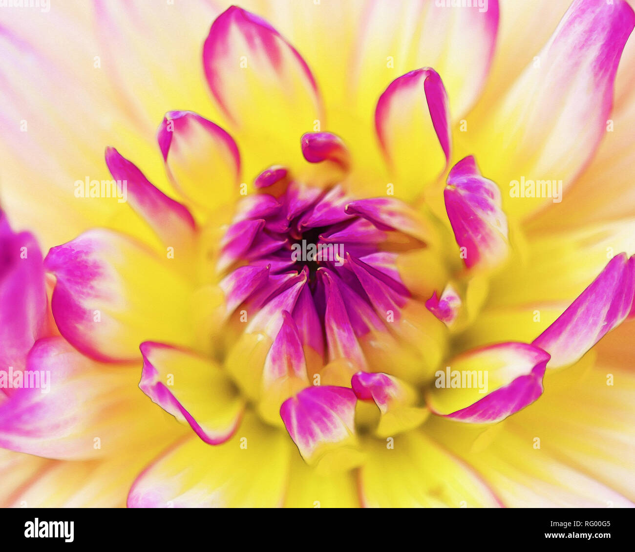 Unique flower background hi-res stock photography and images - Alamy