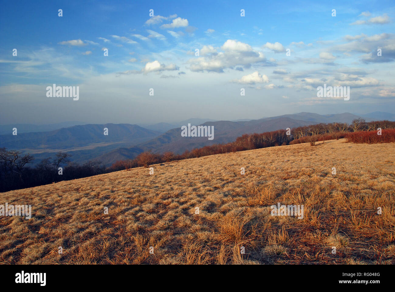 Gregory bald hi-res stock photography and images - Alamy