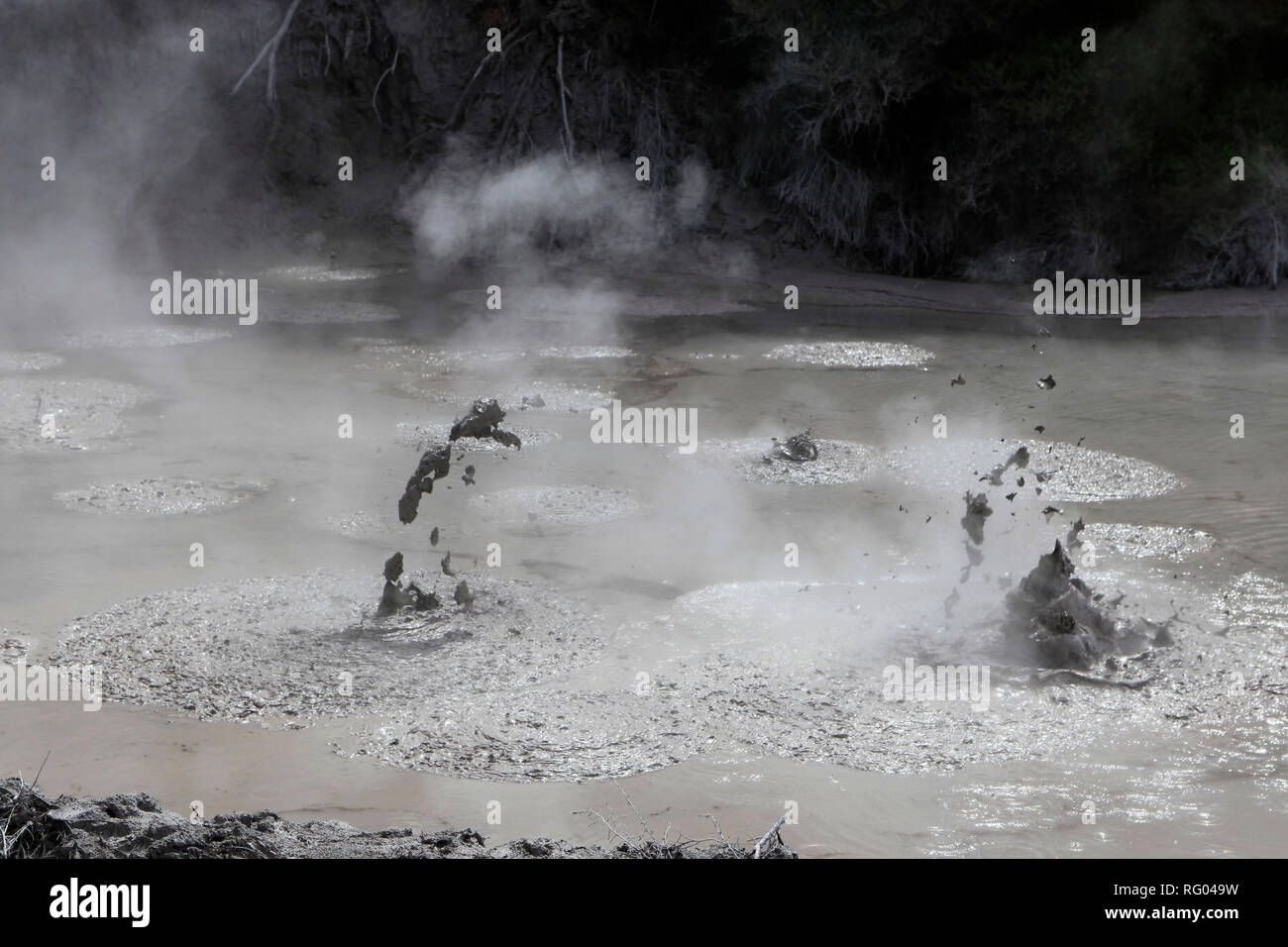 The boiling mud pool at Wai-O-Tapu in Rotorua, New Zealand is the ...