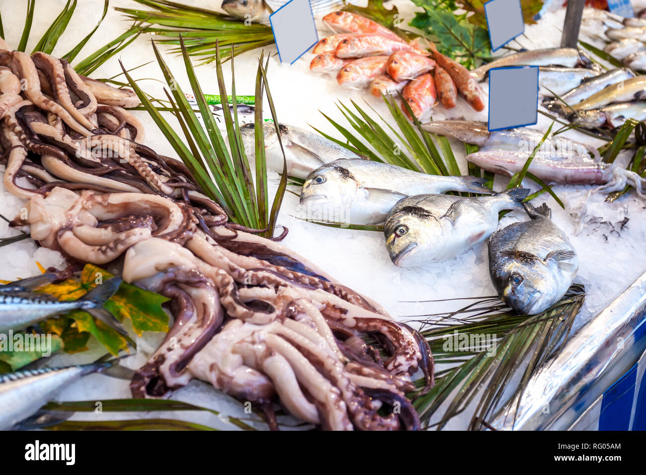 Fresh fish on ice in fish market Stock Photo - Alamy