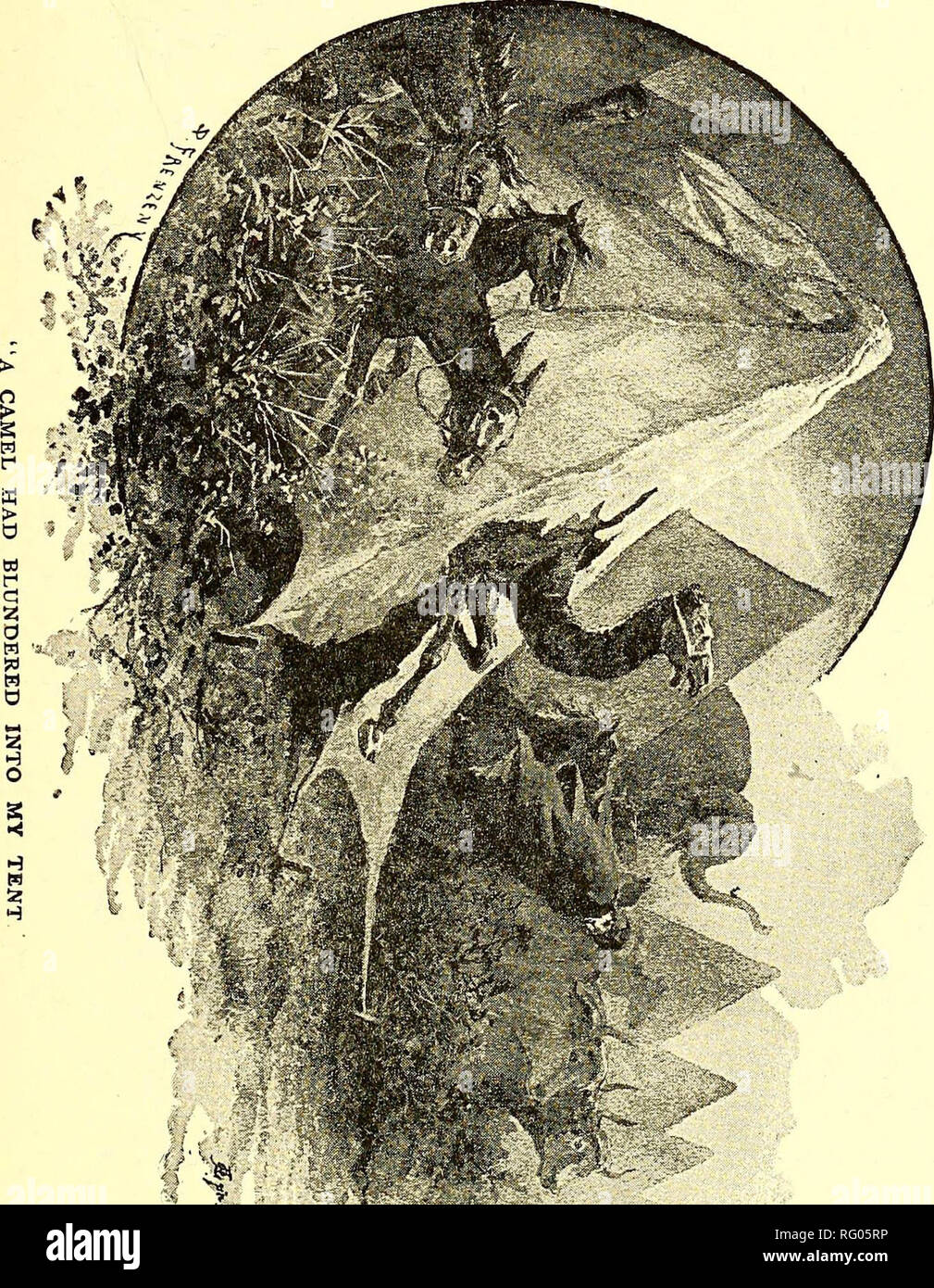 "The jungle book" (1894 Stock Photo - Alamy