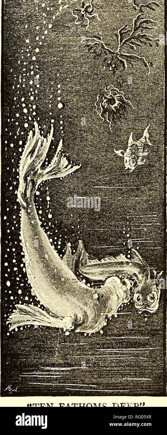 "The jungle book" (1894 Stock Photo - Alamy