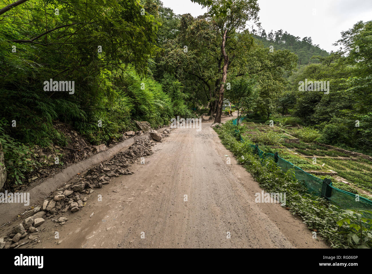 Off-Road in Himalayas, Great Himalayan National Park, Sainj Valley ...