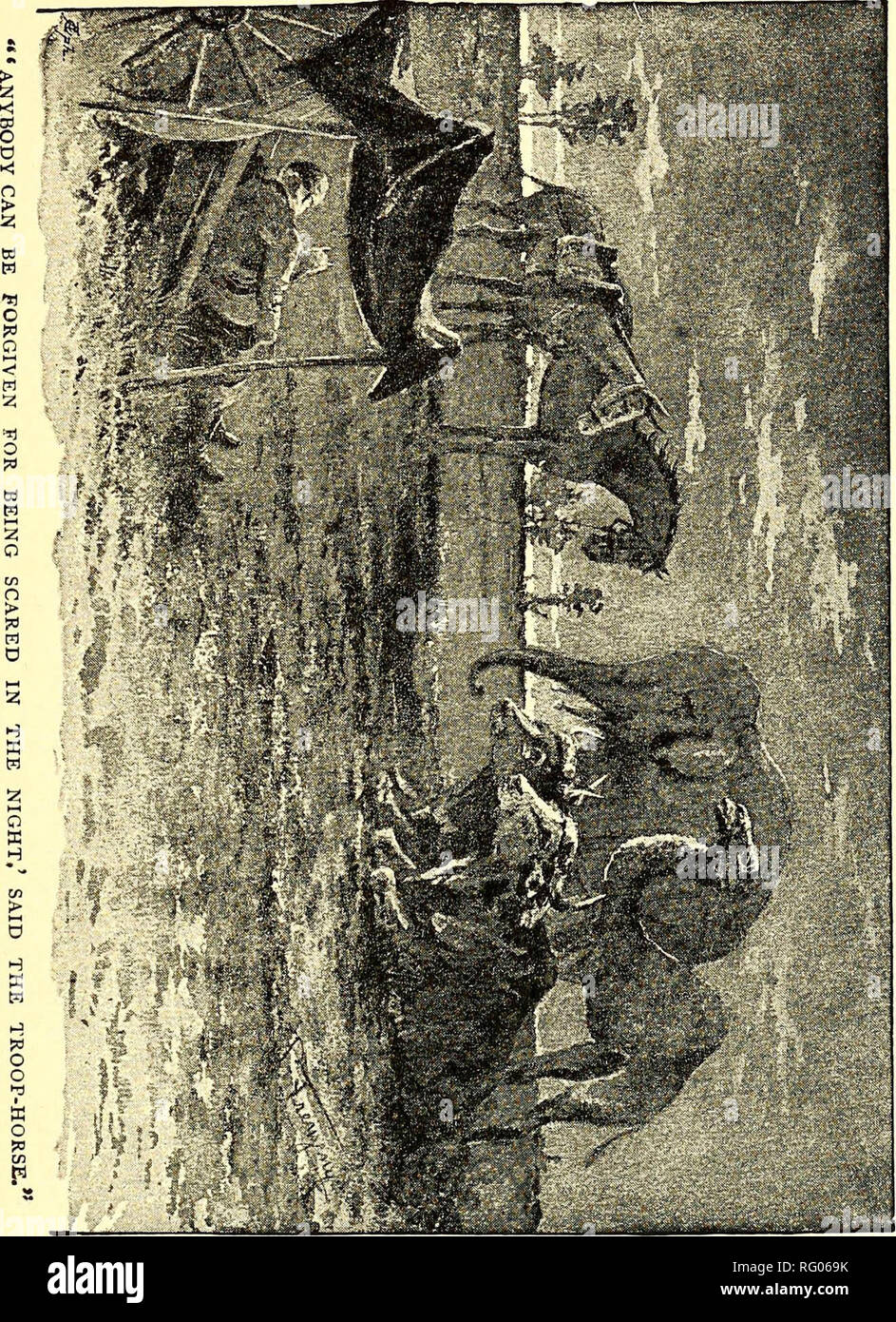 "The jungle book" (1894 Stock Photo - Alamy