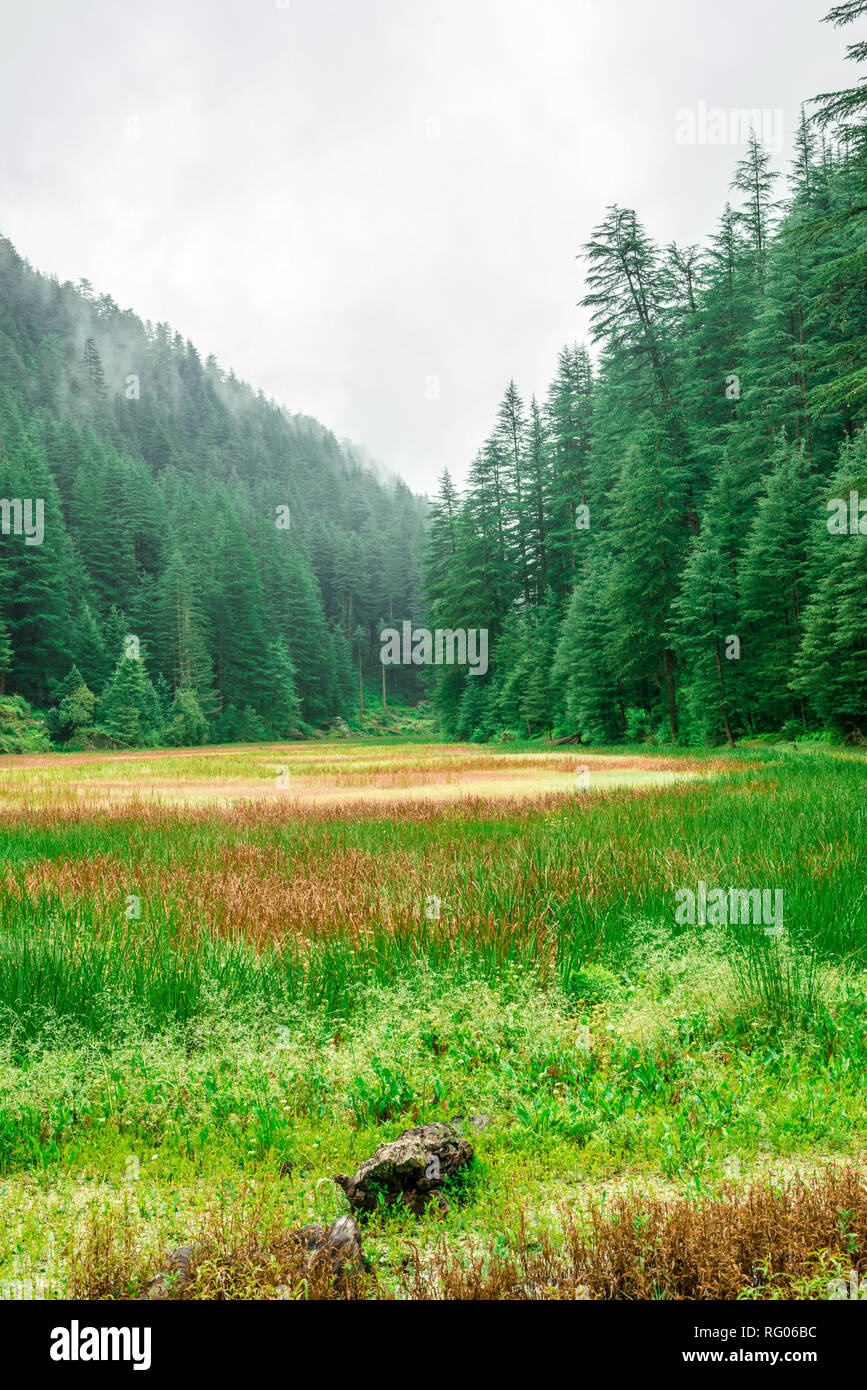 Grass covered punrik rishi lake in himalayas, Sainj Valley, Himachal ...