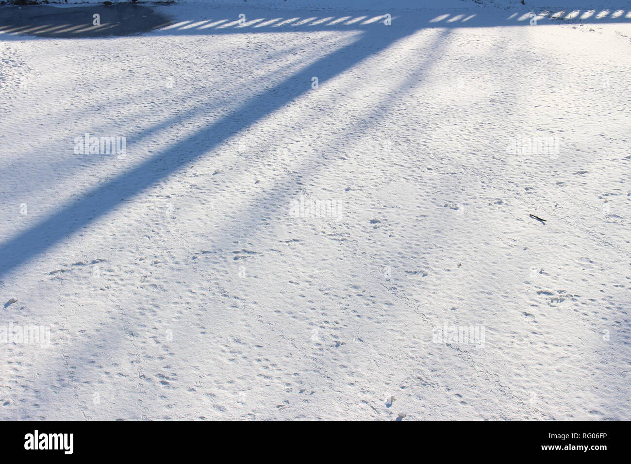 Frozen pond. Snow and ice background Stock Photo - Alamy