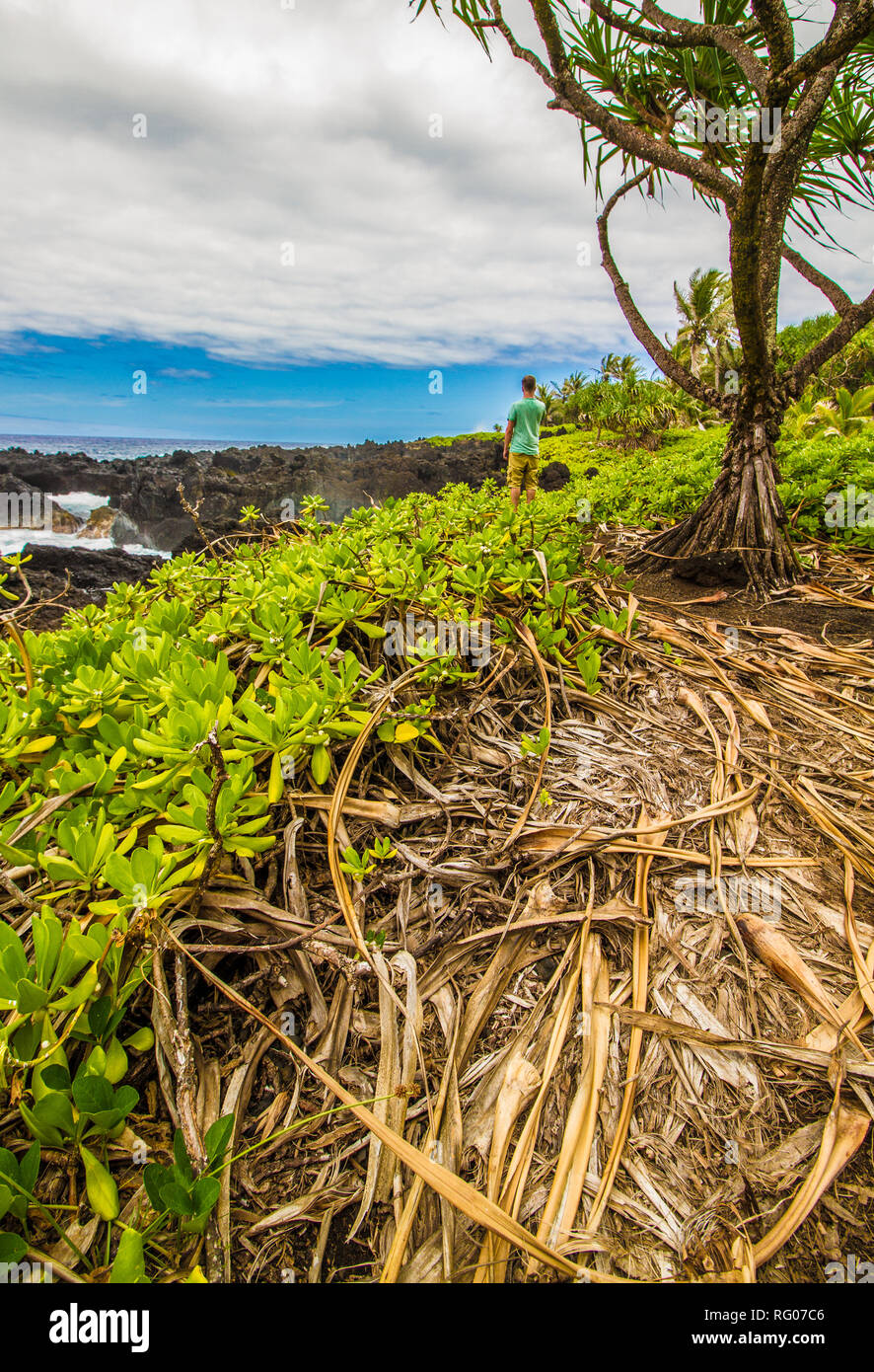 Coastal path at Maui, Hawaii Stock Photo - Alamy