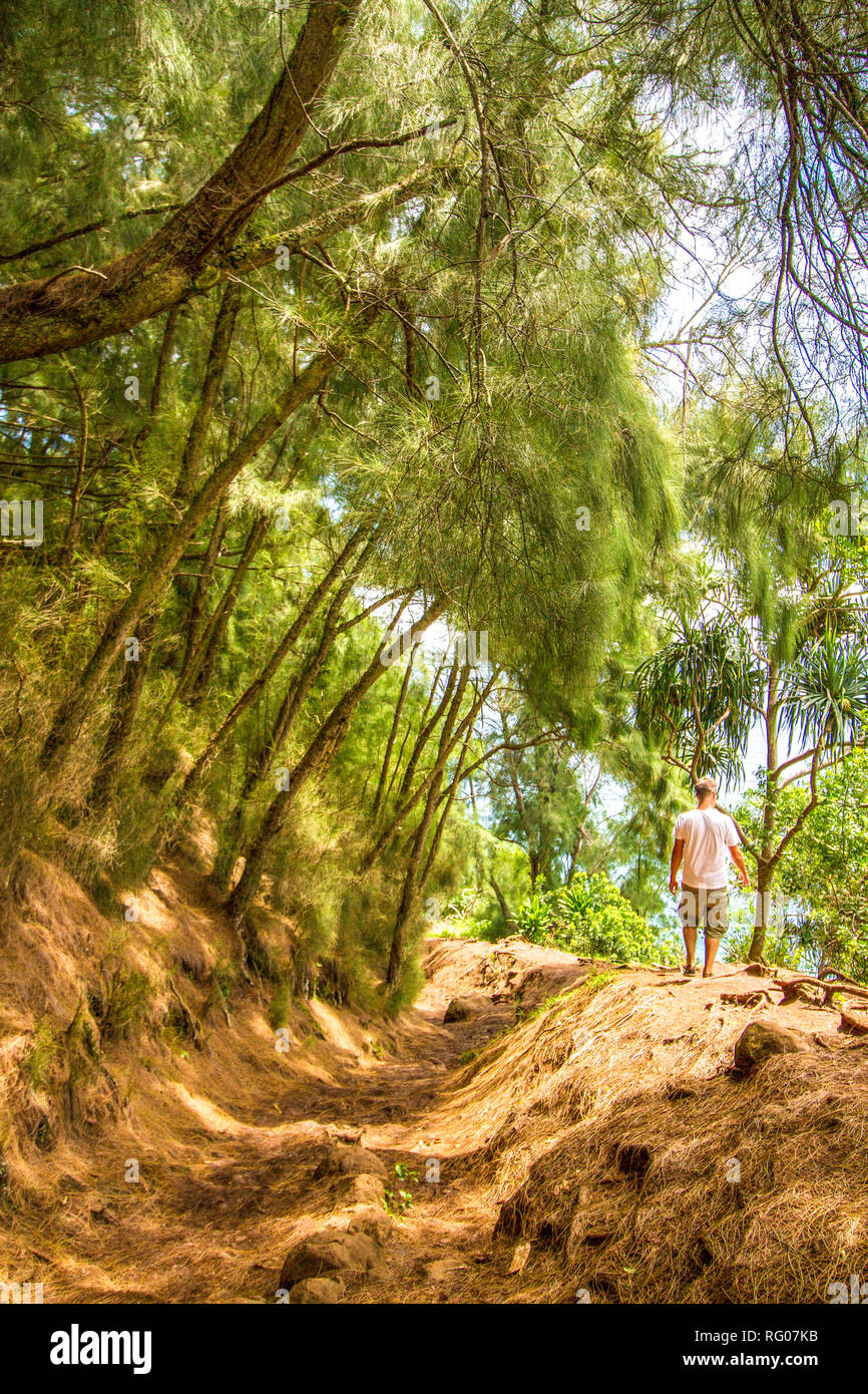 Coastal Path At Hawaii Stock Photo Alamy coastal-path-at-hawaii-stock-photo-alamy