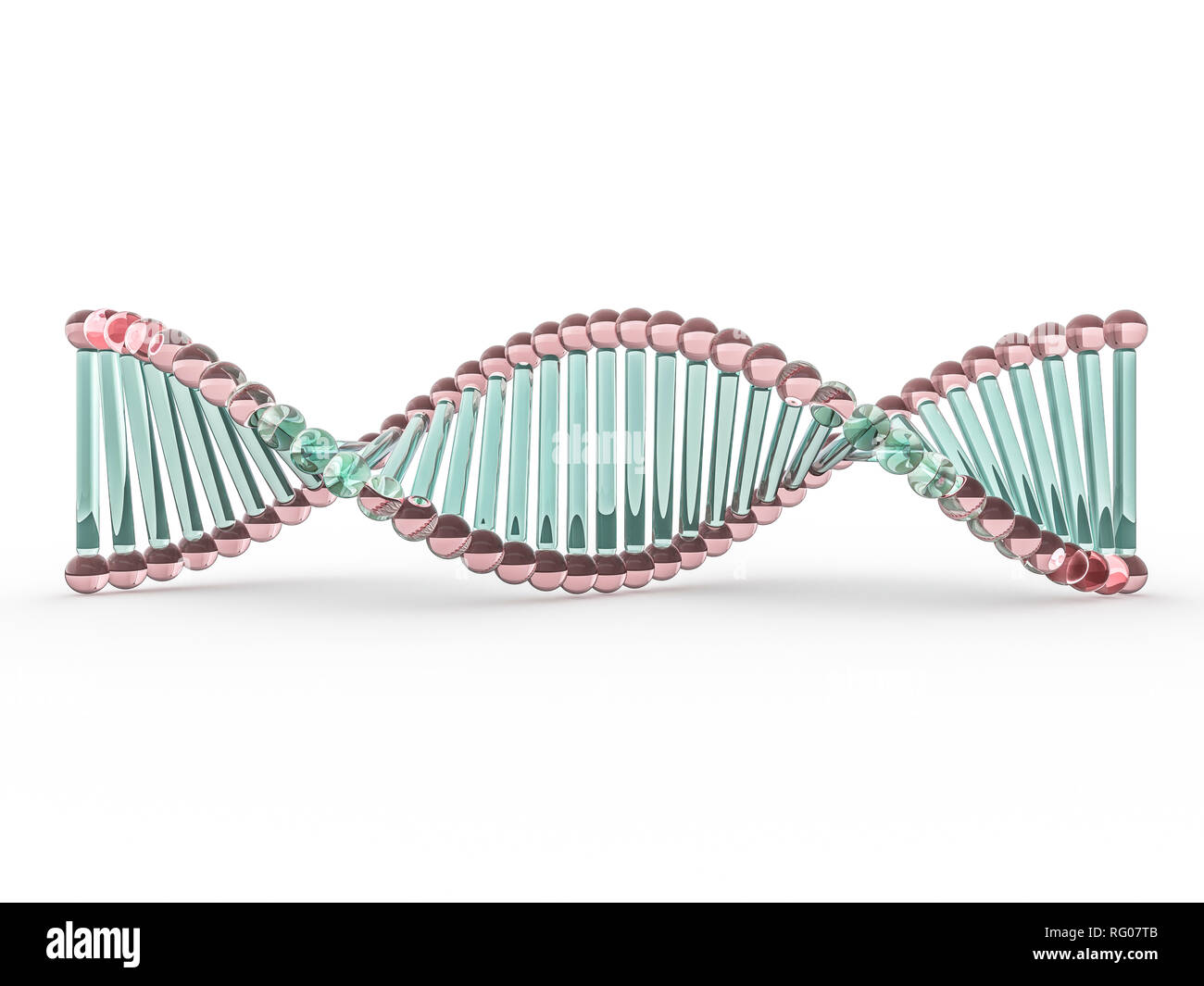 Dna biology chromosome evolution genetic helix render spiral Cut Out ...