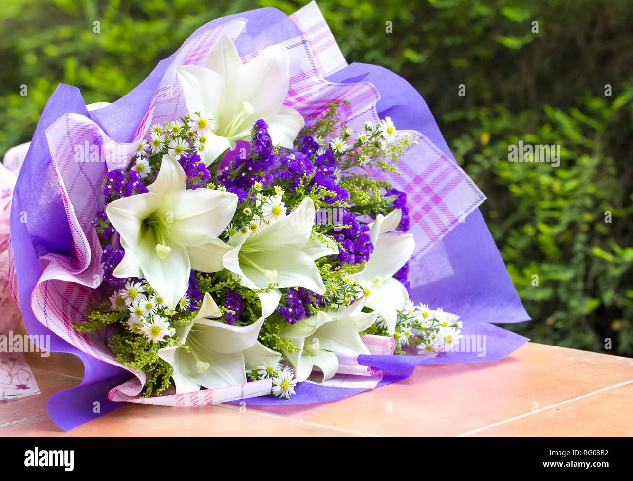 Forget me nots mixed hi-res stock photography and images - Alamy