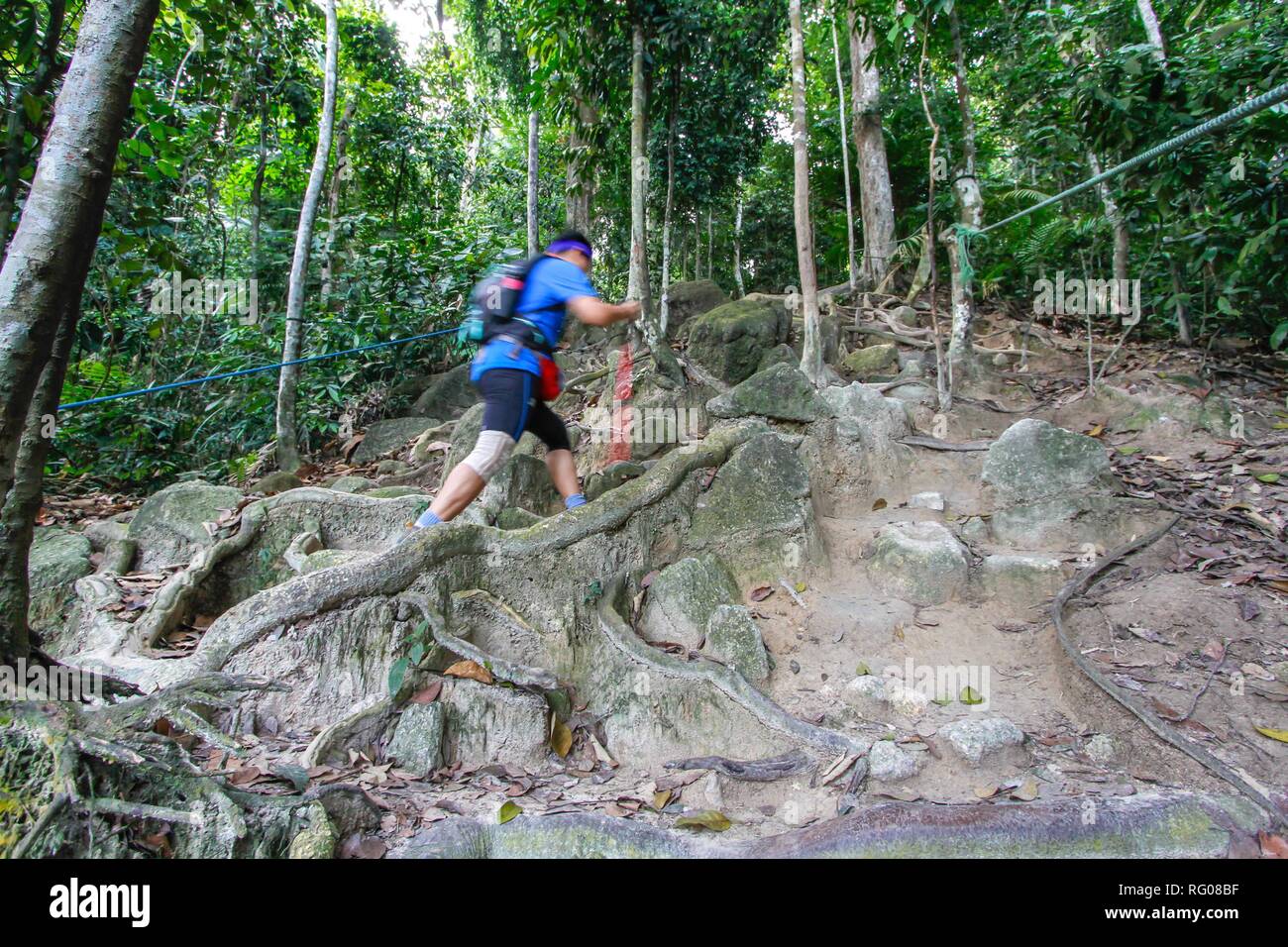Man hiking tropical rainforest trail hi-res stock photography and ...