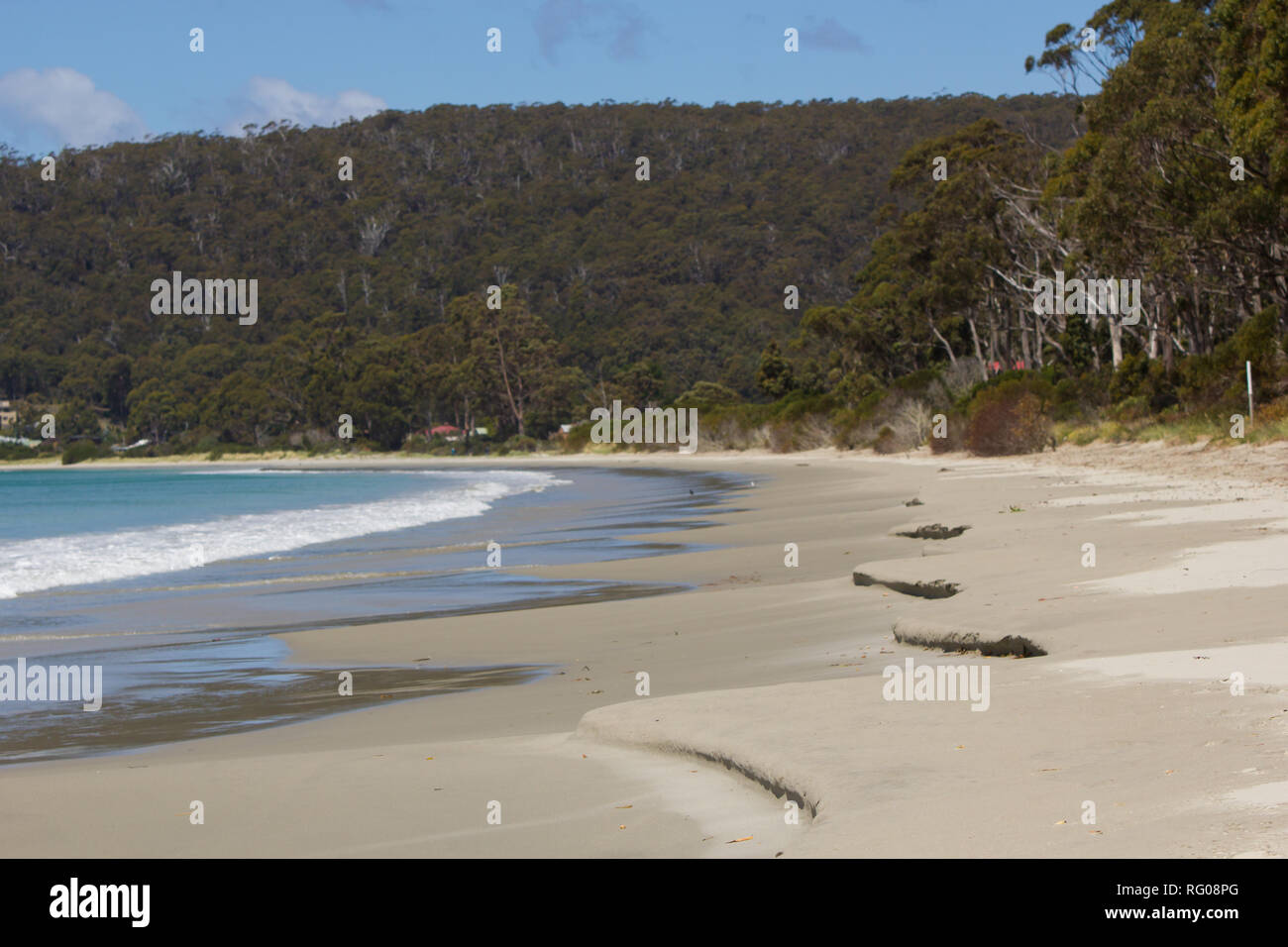 Adventure Bay beach, Bruny Island, Tasmania - pristine sands of Bruny ...