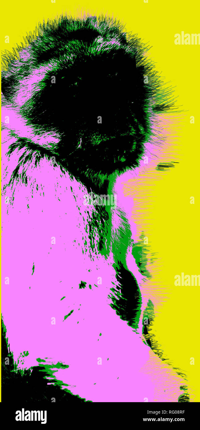 Sad monkey cartoon hi-res stock photography and images - Alamy