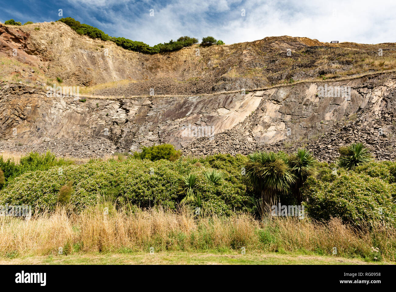 Halswell Quarry Park, a 60 hectare park, on the fringe of Christchurch ...
