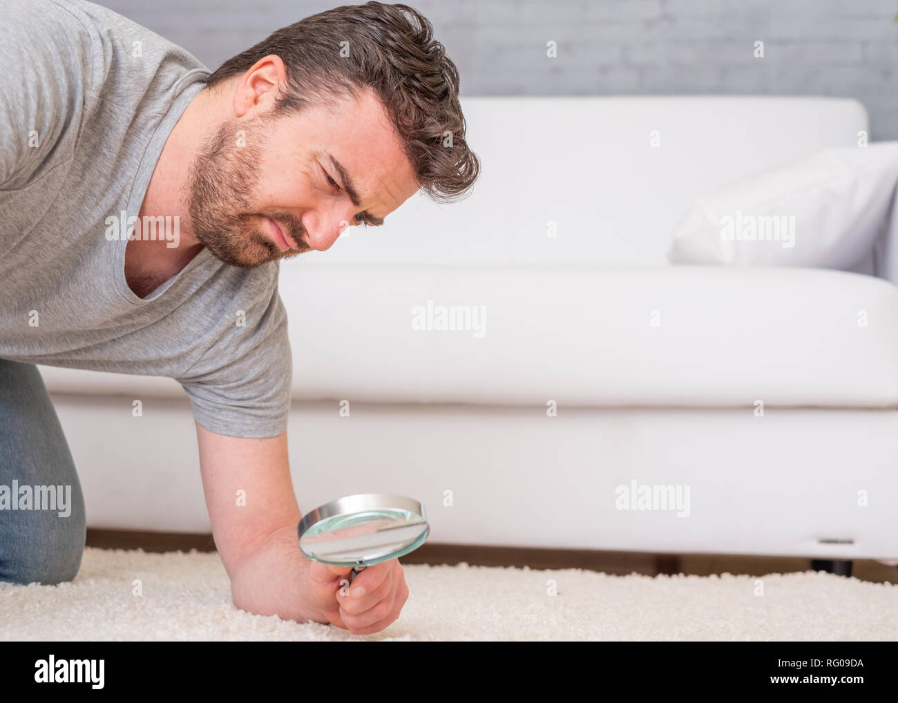 Man searching house dust mites and bug parasites Stock Photo - Alamy