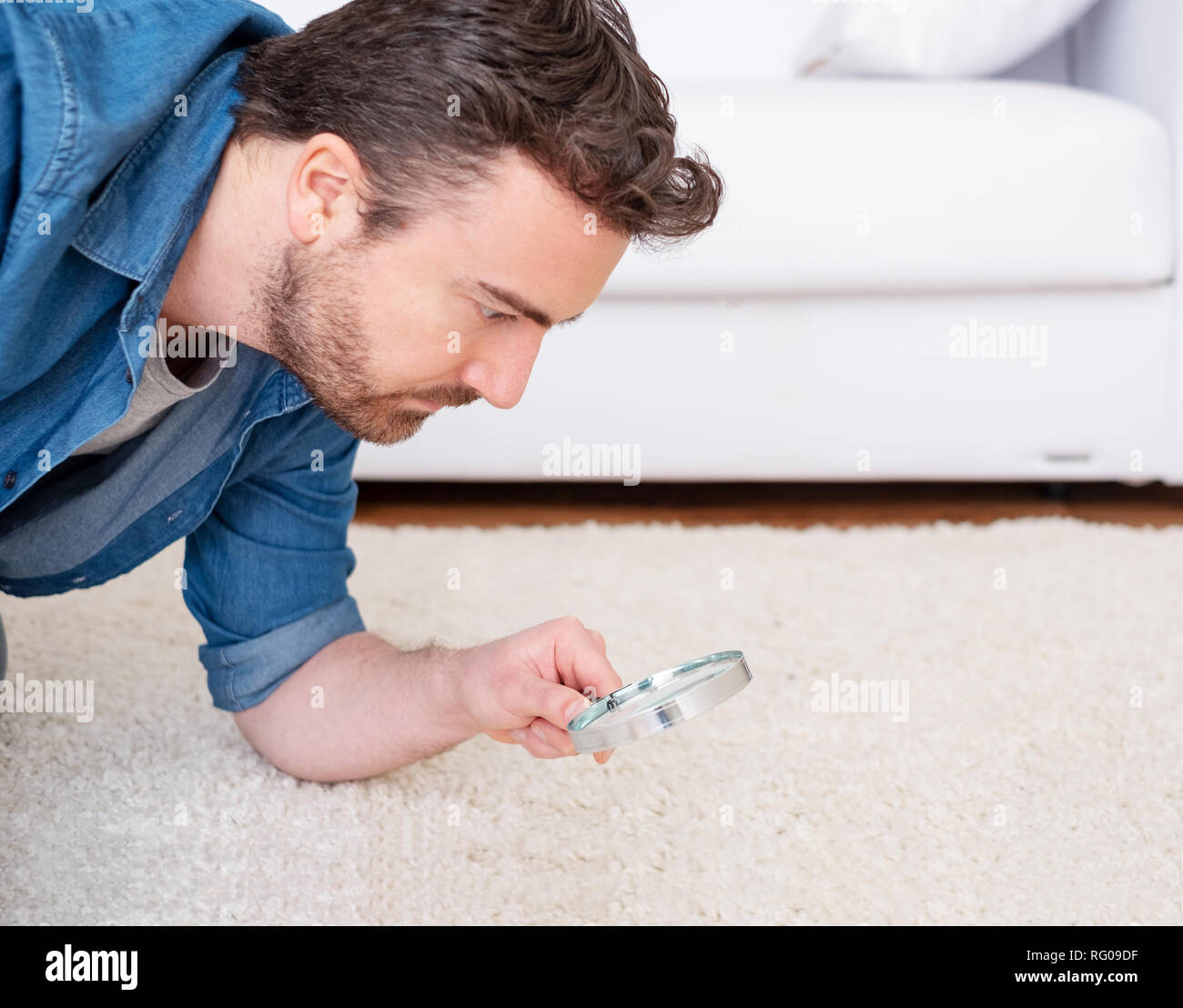 Man searching house dust mites and bug parasites Stock Photo - Alamy