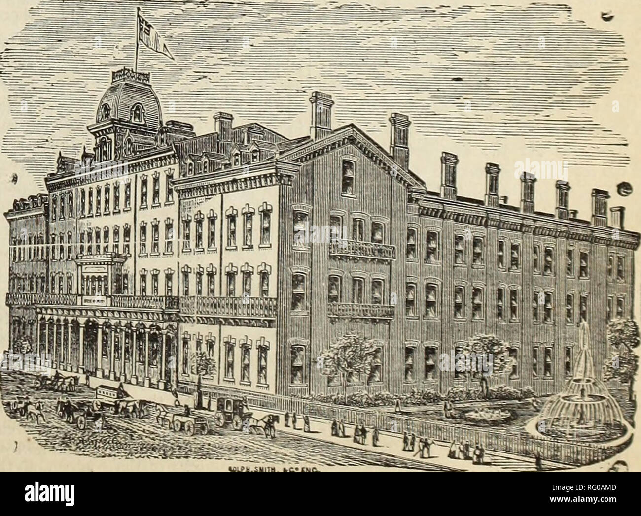 Amber larsen hi-res stock photography and images - Alamy