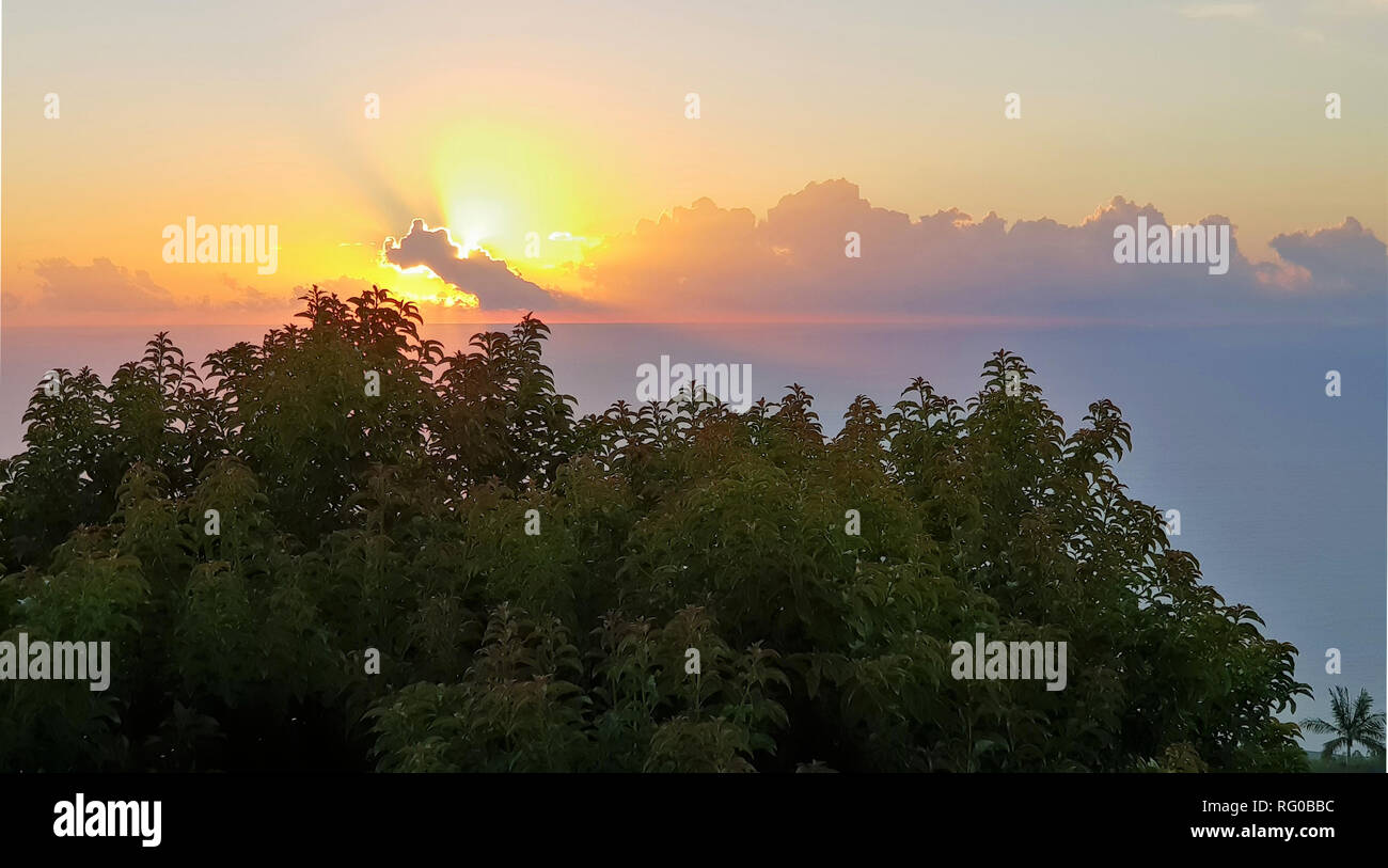 sunset on la reunion island with trees in foreground Stock Photo - Alamy