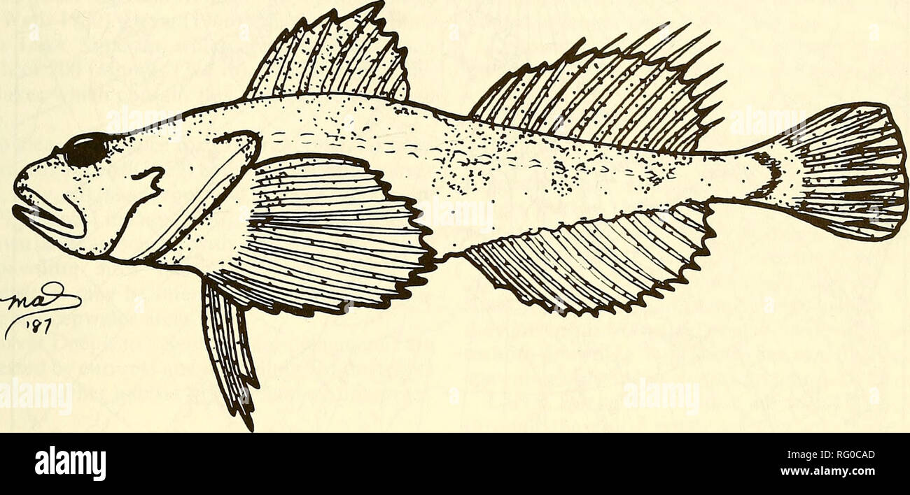 . The Canadian field-naturalist. 1988 Parker: Status of Deepwater ...