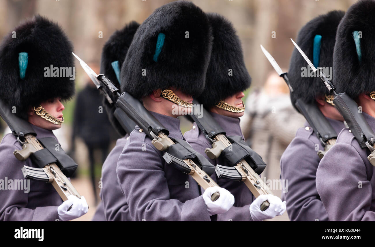 London, England - January 23, 2019. Soldiers of the Irish Guards march ...