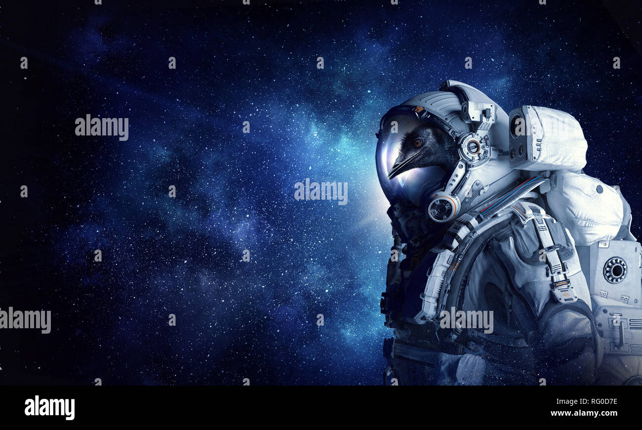 Astronaut bird wearing space suit against starry sky. Mixed media Stock ...