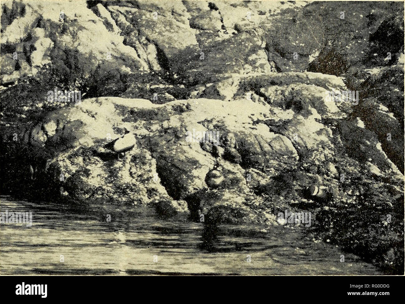 Wayne godfrey hi-res stock photography and images - Alamy