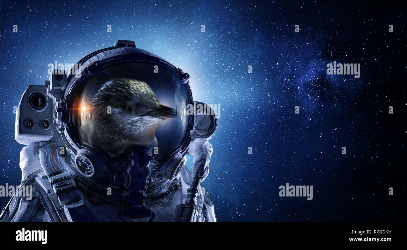 Astronaut bird wearing space suit against starry sky. Mixed media Stock ...