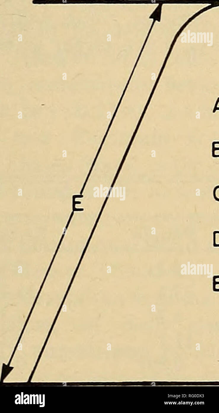 Muffle furnace hi-res stock photography and images - Alamy