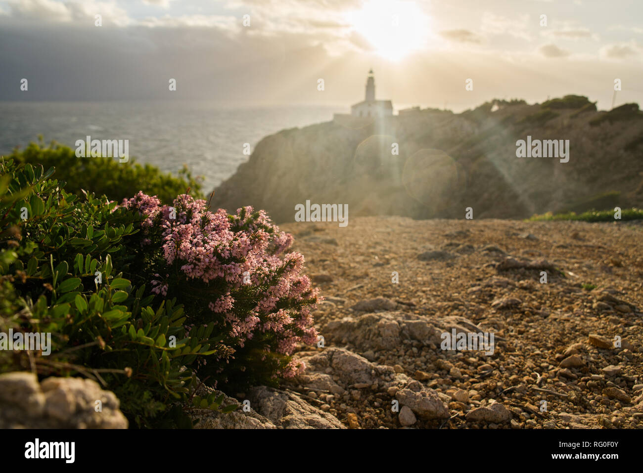 Beautiful windy hi-res stock photography and images - Alamy