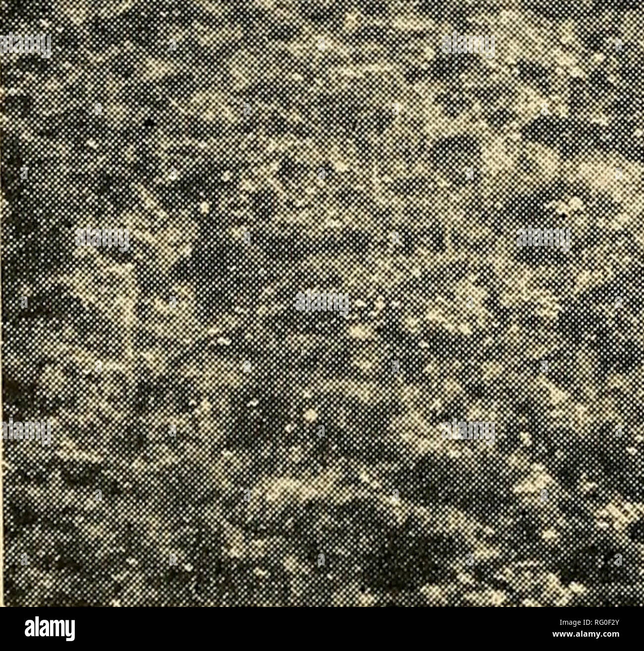 Buff bay river hi-res stock photography and images - Alamy