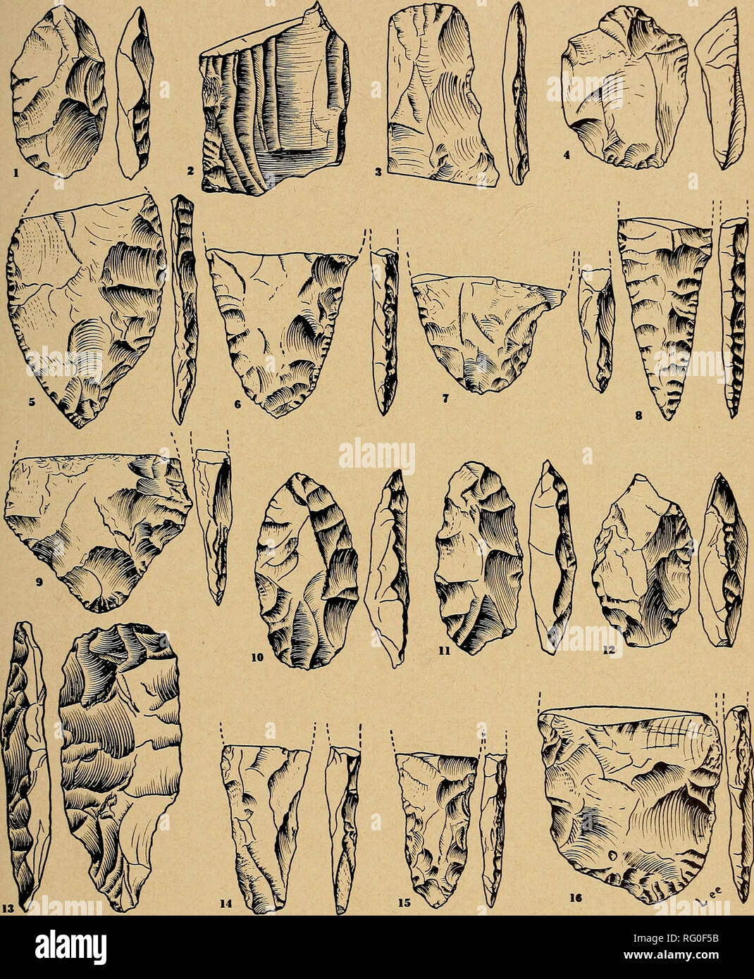 Flake scars hi-res stock photography and images - Alamy