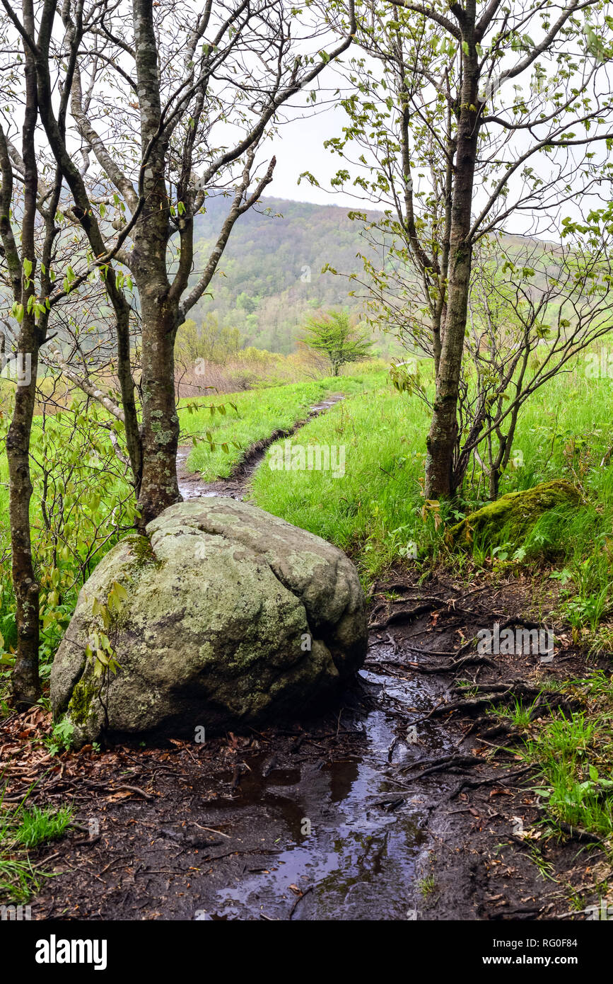 Big hump trail hi-res stock photography and images - Alamy