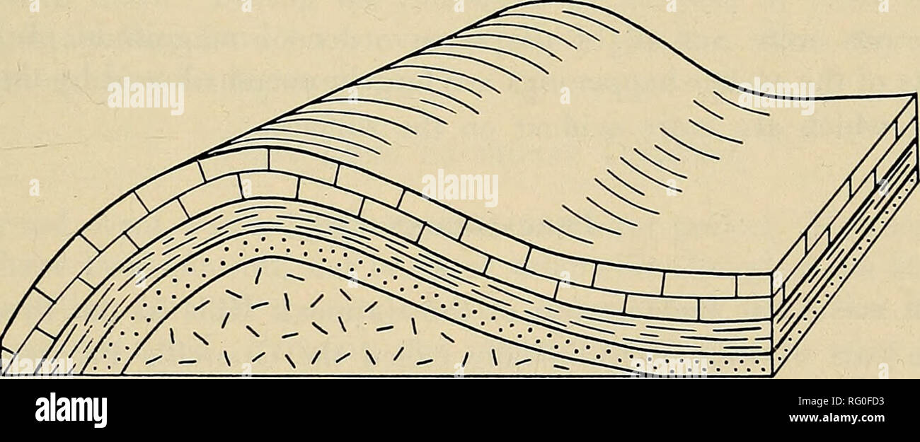 . The Canadian field-naturalist. Wilson: Geology of the Ottawa District ...