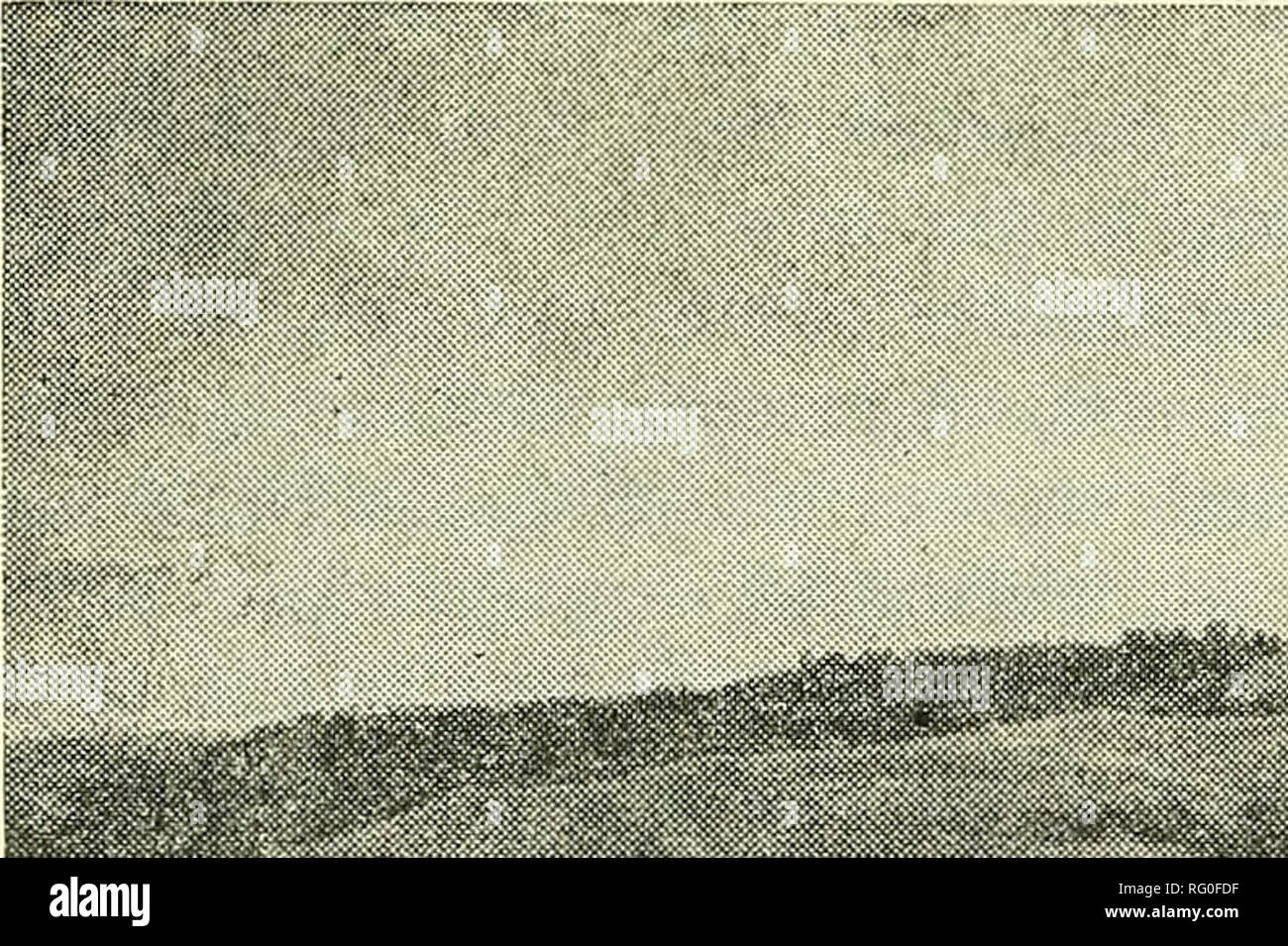 . The Canadian field-naturalist. Fig. 4. Fescue prairie in the Black ...