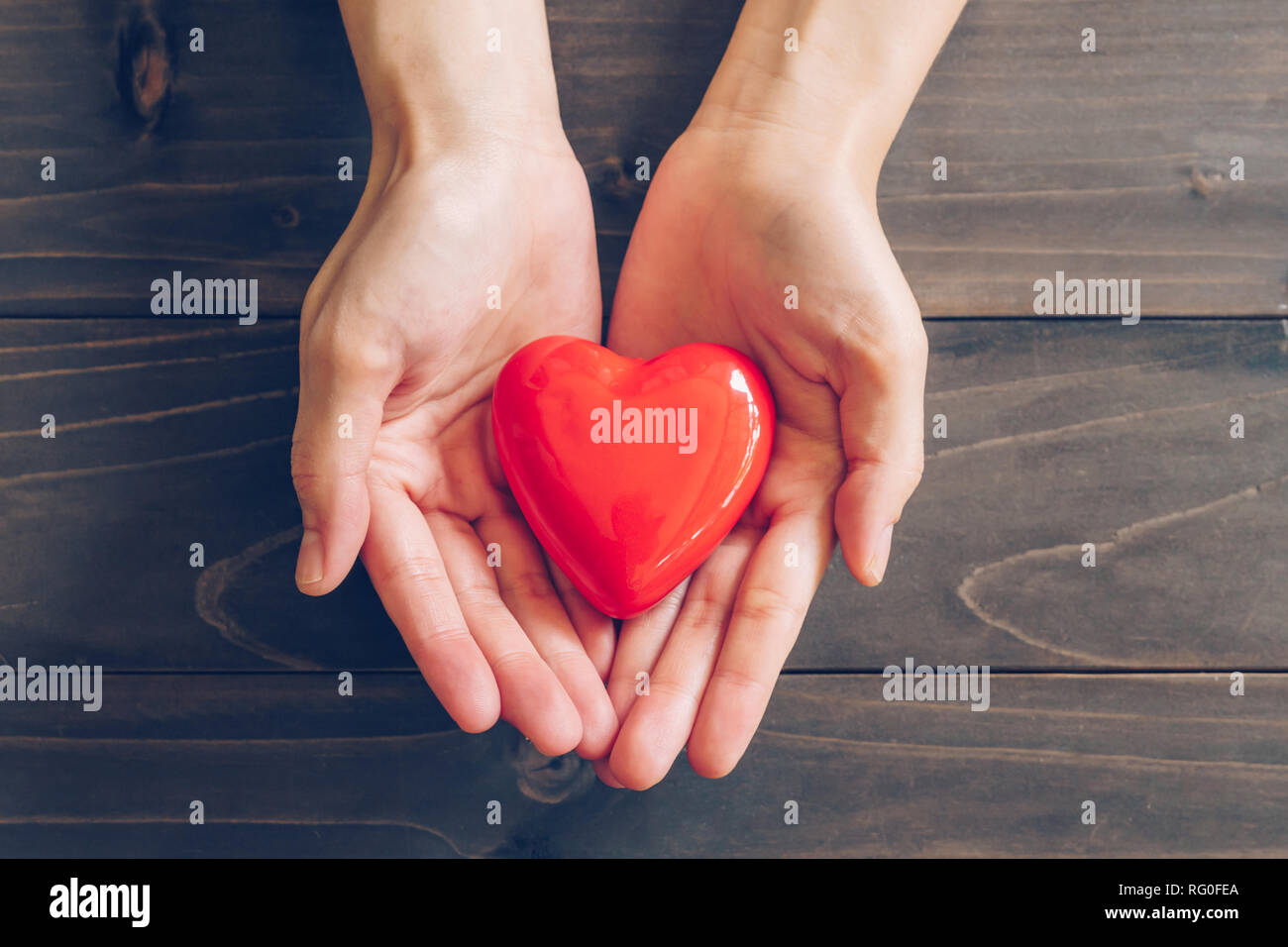Female hands hold red hi-res stock photography and images - Alamy