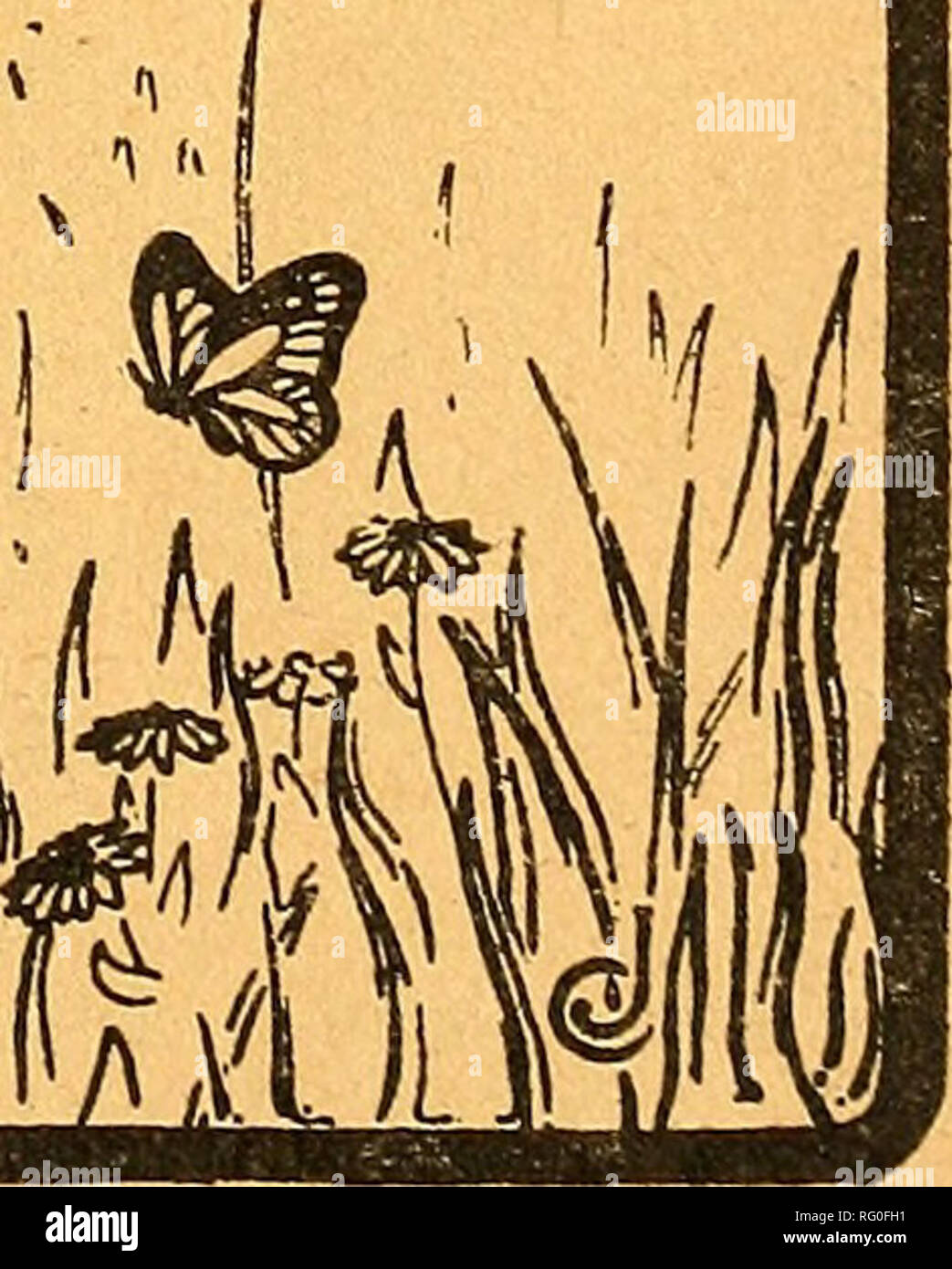 . The Canadian field-naturalist. . syjB l i s h E-ajPa^ ISSUED NOVEMBER ...